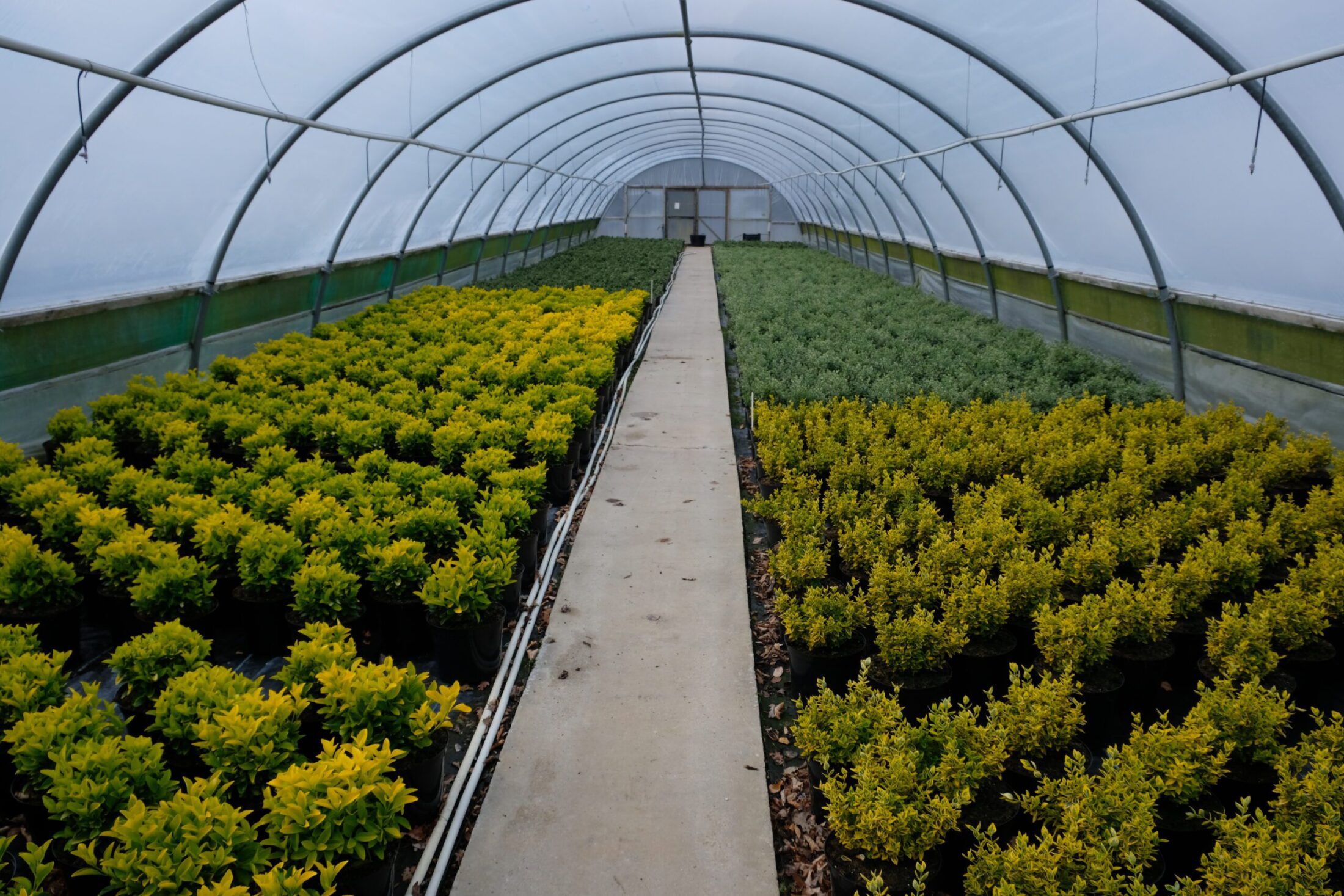 Hillier Continues Long-running Commitment to Sustainability with ISO ...