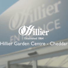Hillier Garden Centre in Cheddar, Somerset