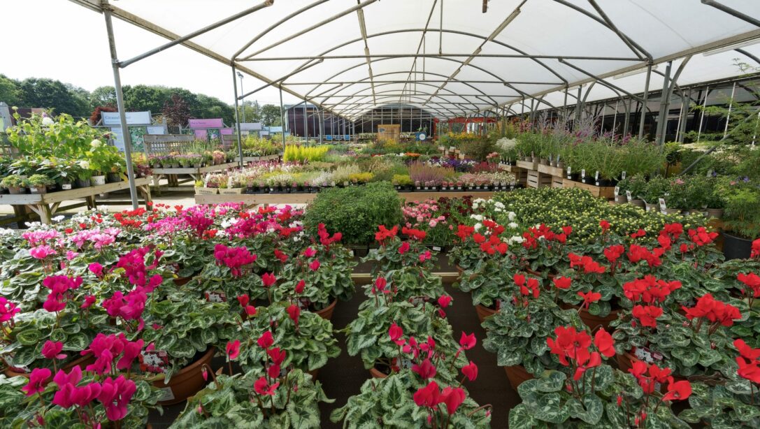 Careers | Hillier Garden Centres