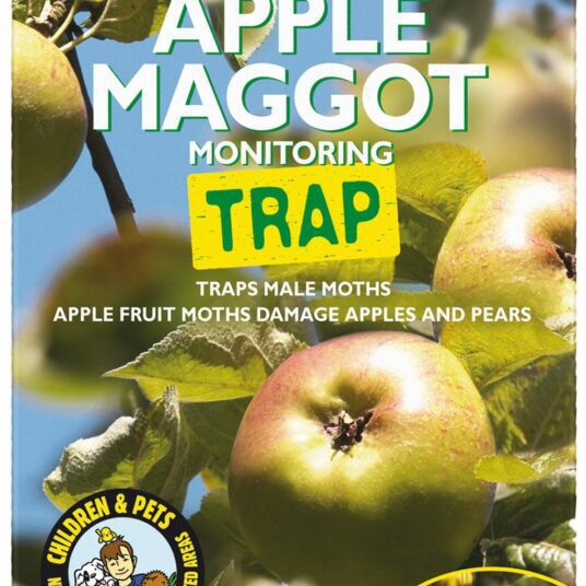 Growing Success Apple Maggot Control Trap - Hillier