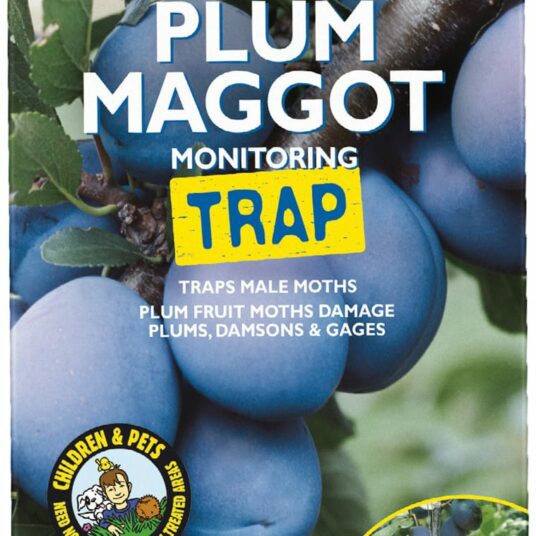 Growing Success Plum Maggot Control Trap - Hillier