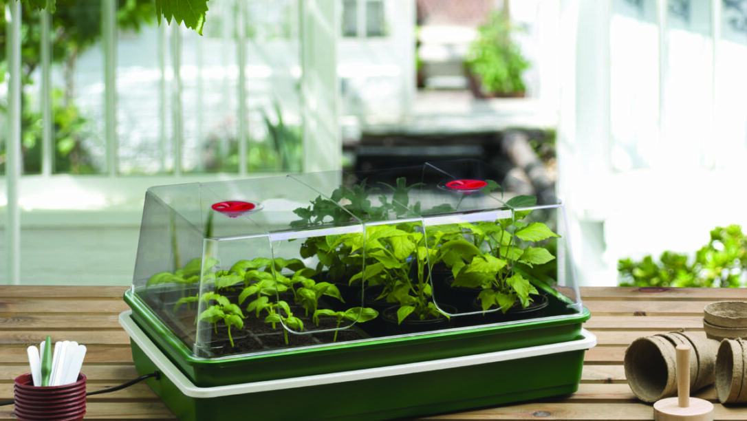 Guide to Propagation Equipment | Hillier Garden Centres