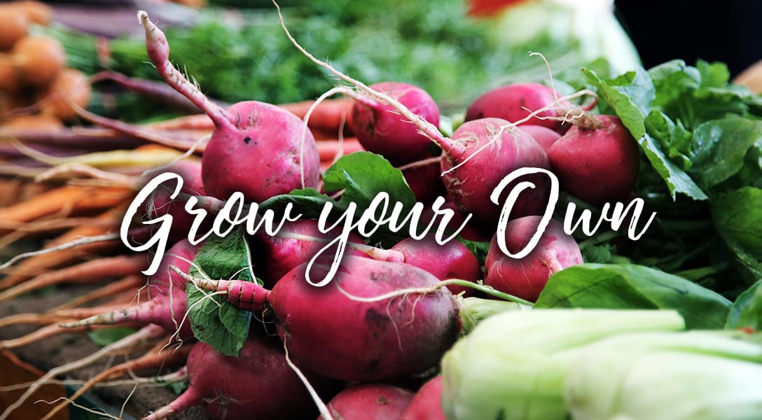 Grow Your Own - What To Do in April | Hillier Garden Centres