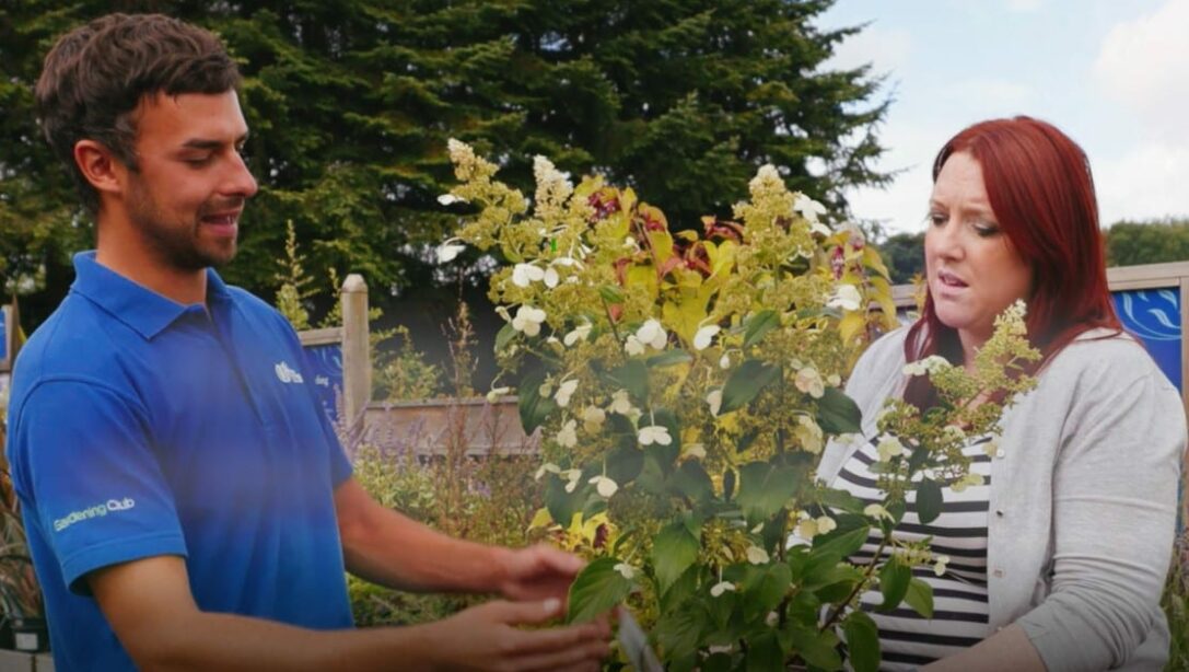 FAQs | Hillier Garden Centres