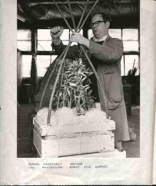 Chairman Robert Hillier Celebrates 50 Years | Hillier Garden Centres