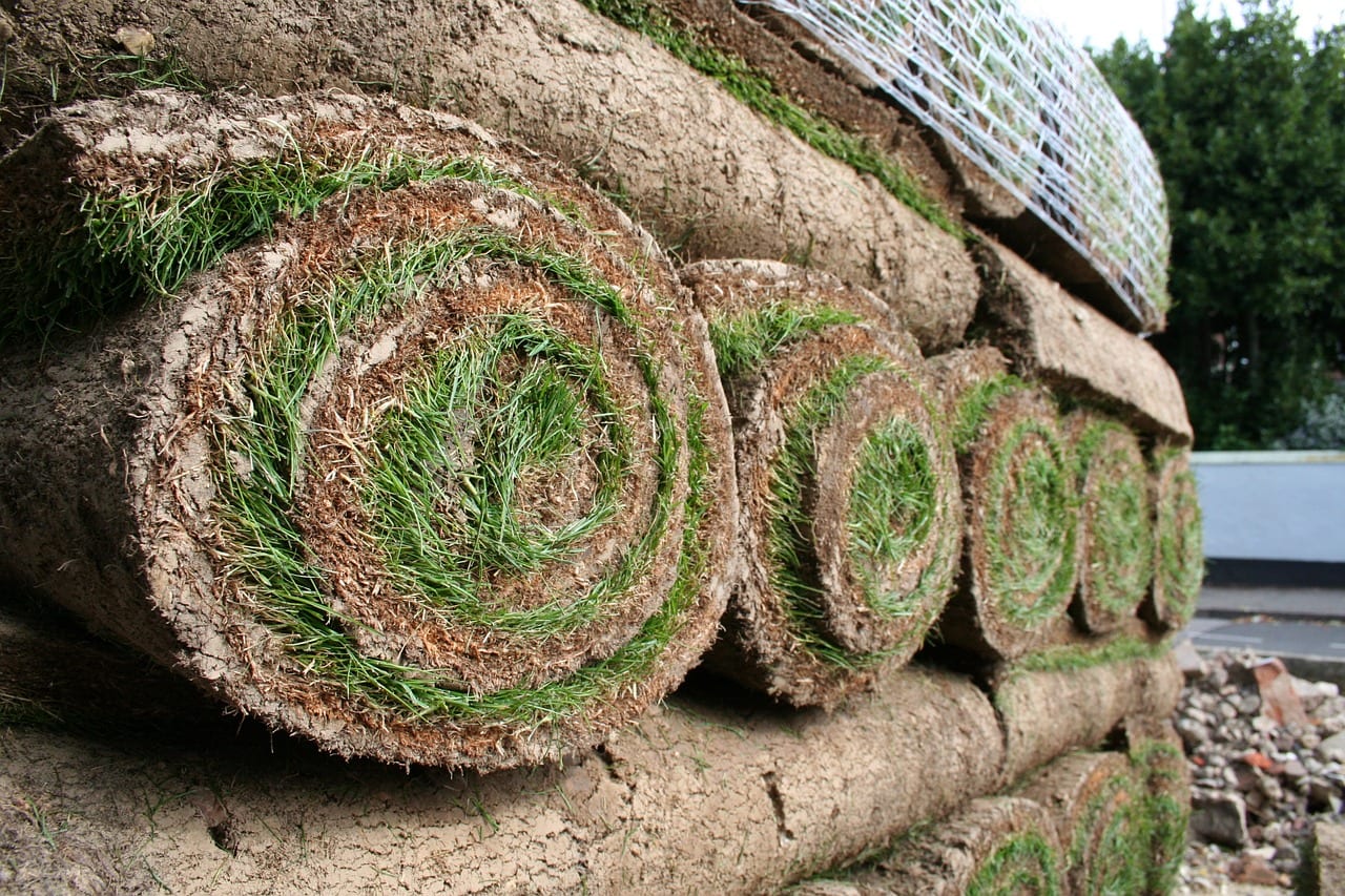 Guide to Laying Turf | Hillier Garden Centres