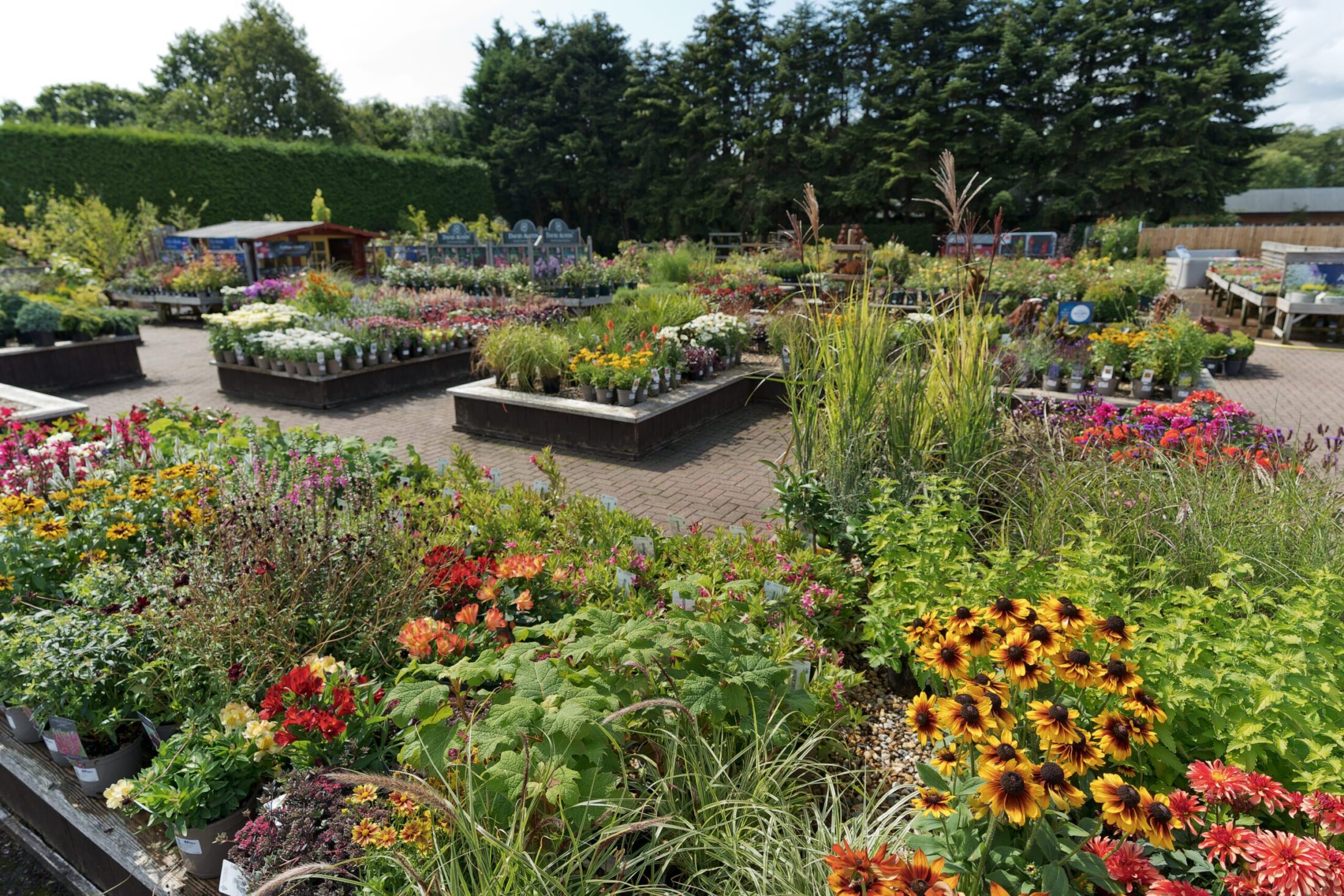 RG/Save £1 - Online Exclusive Offer - Hillier