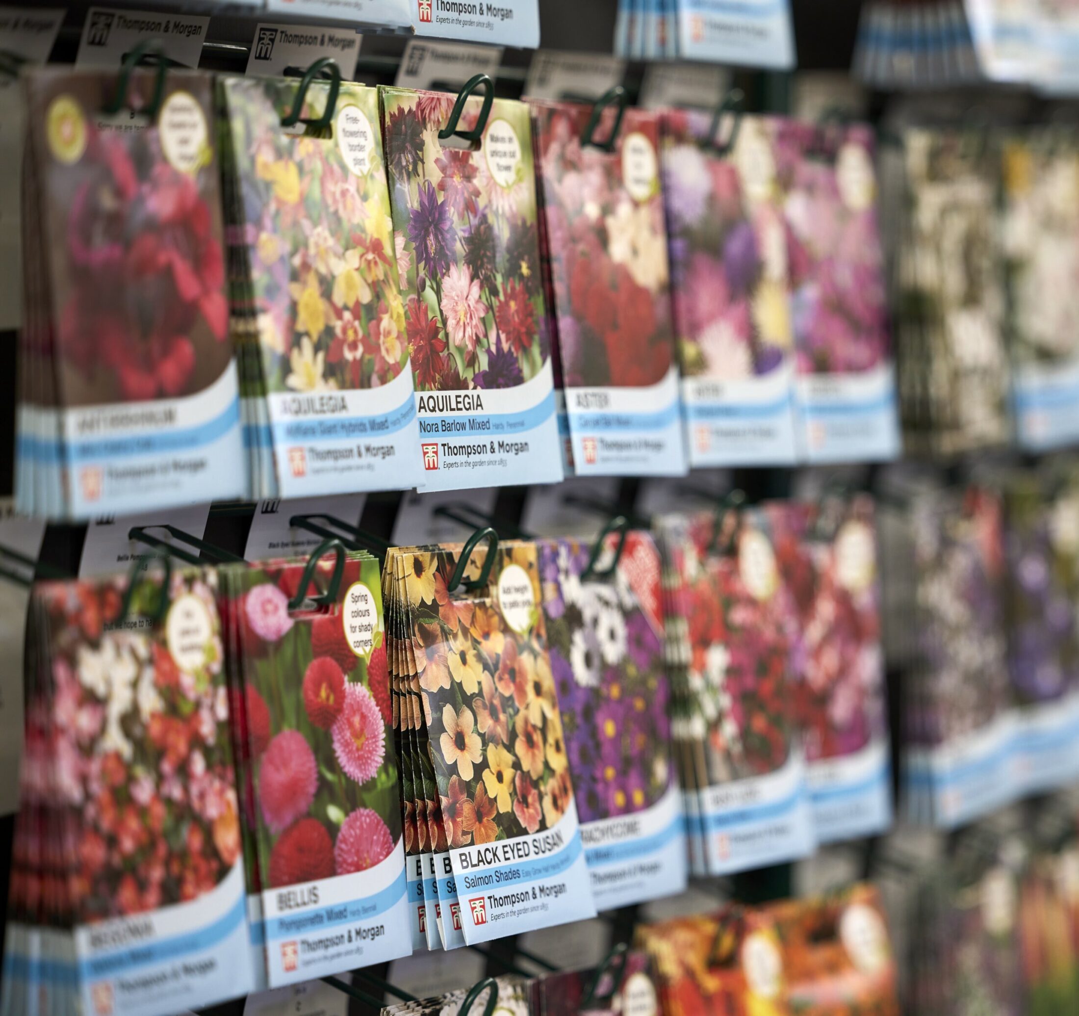 Buy One Get One Free on Seeds - Hillier