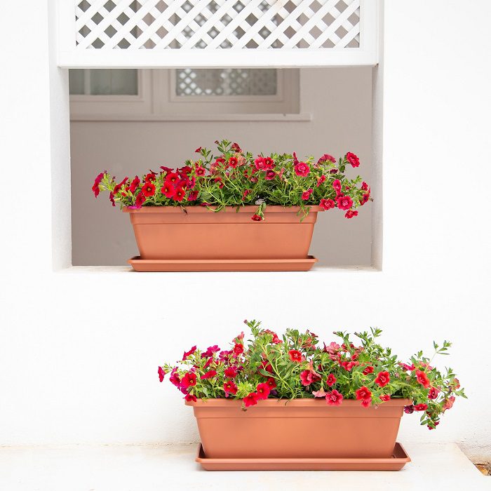 Venezia Plant Box Terracotta - Hillier