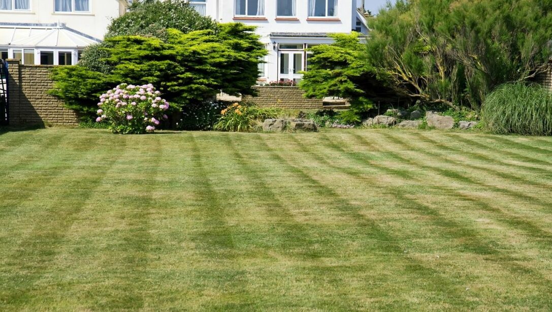 Can You Cut Grass Before or After a Frost? | Hillier Garden Centres