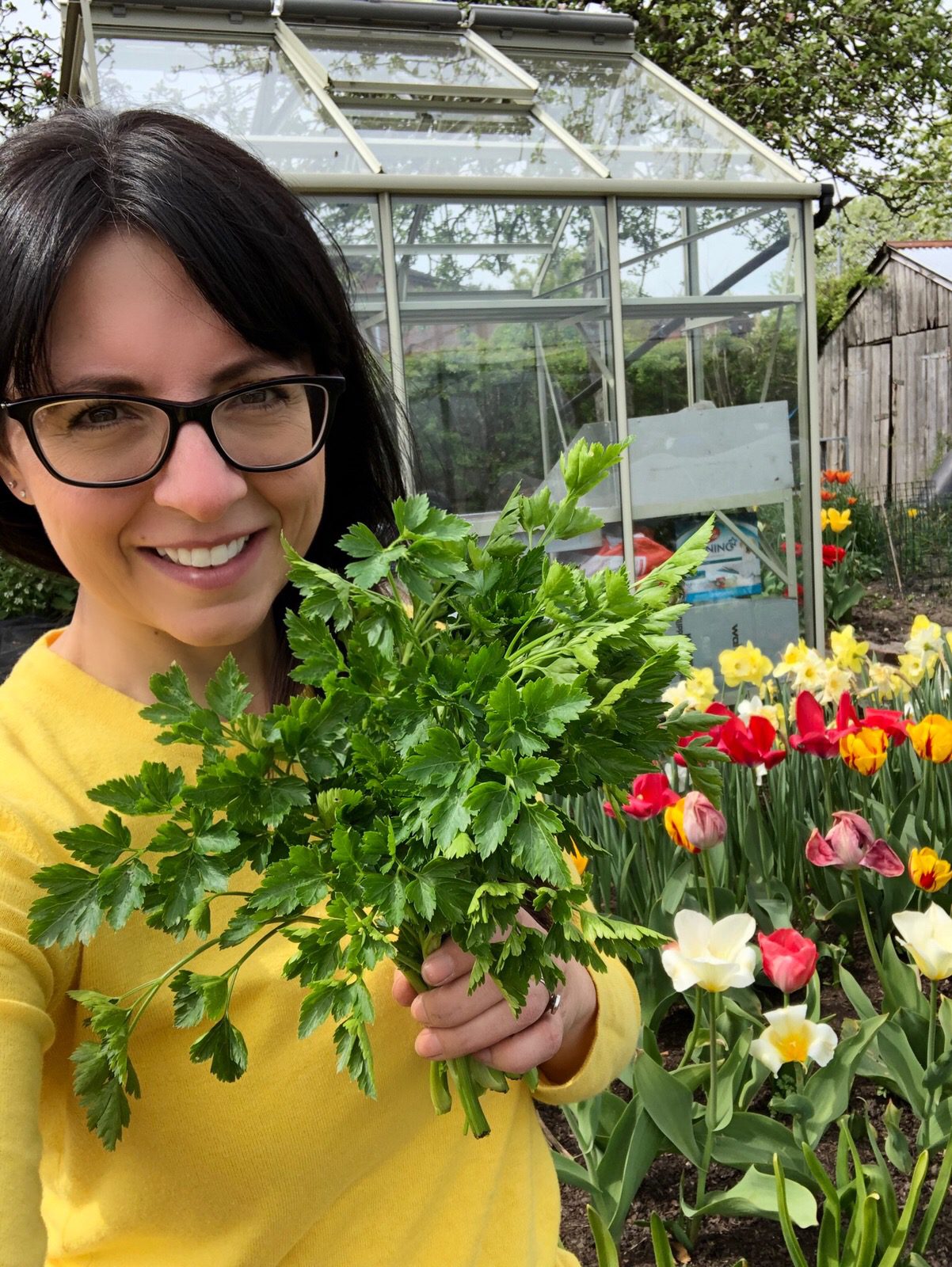 Creating a Calming Spring Garden - Hillier Garden Centres