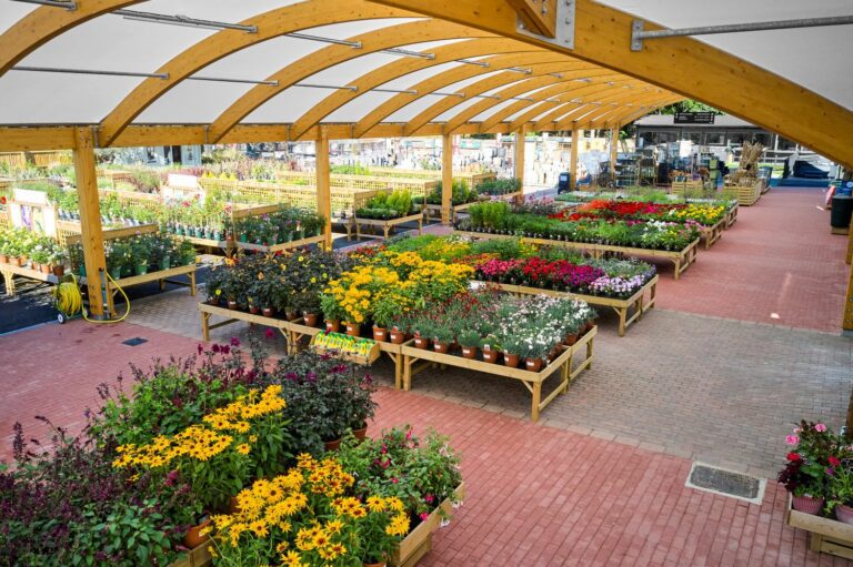 Hillier Nurseries and Garden Centres | Hillier
