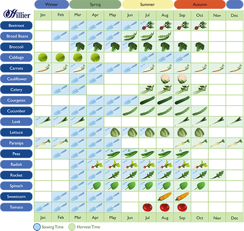 Plant Chart For England Lunar Gardening A Guide To Planting A Lunar