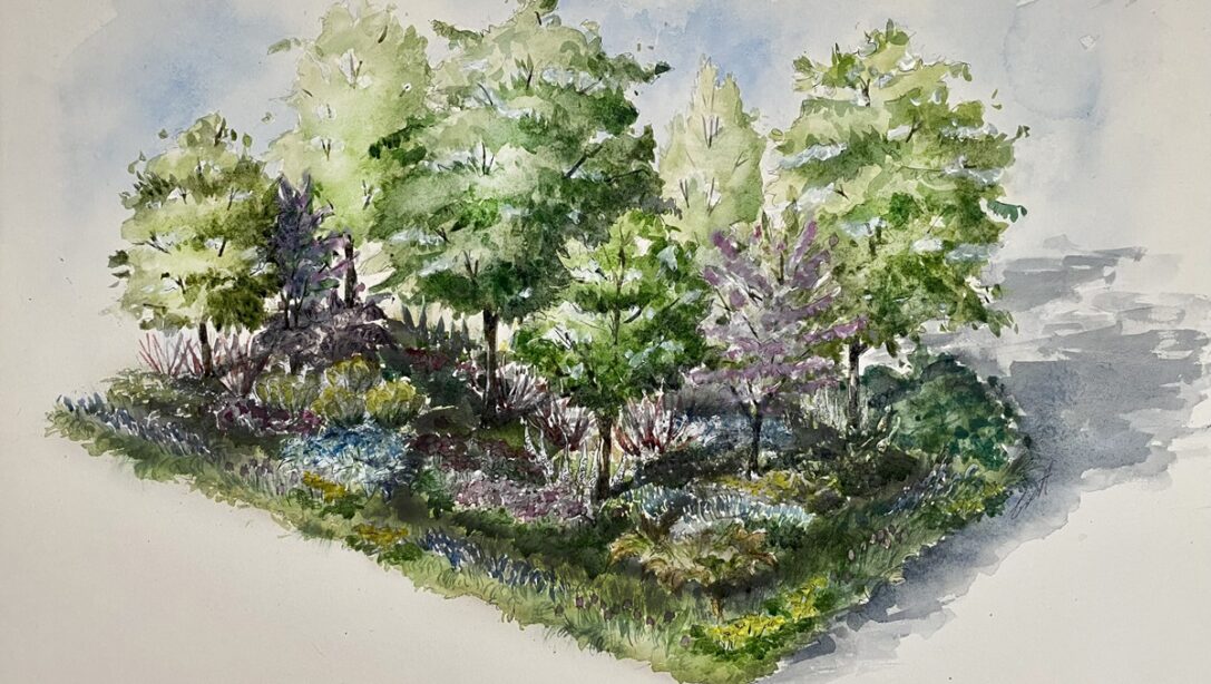 Hillier unveils woodland themed garden design for BBC Gardeners’ World ...
