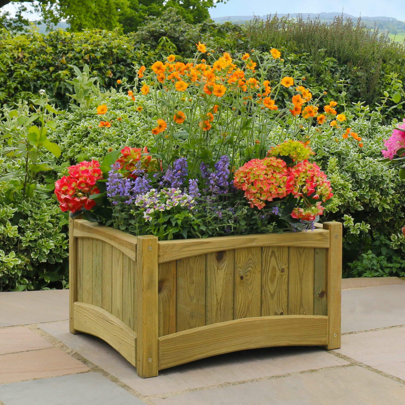 Buy Plant Pots & Troughs Online - Hillier